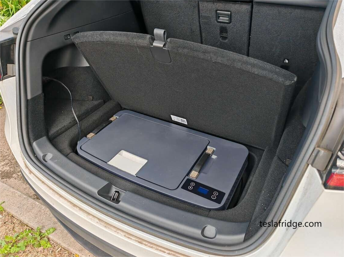 Installing Tesla-Fridge in Your Tesla Model Y: A Cool Adventure ...